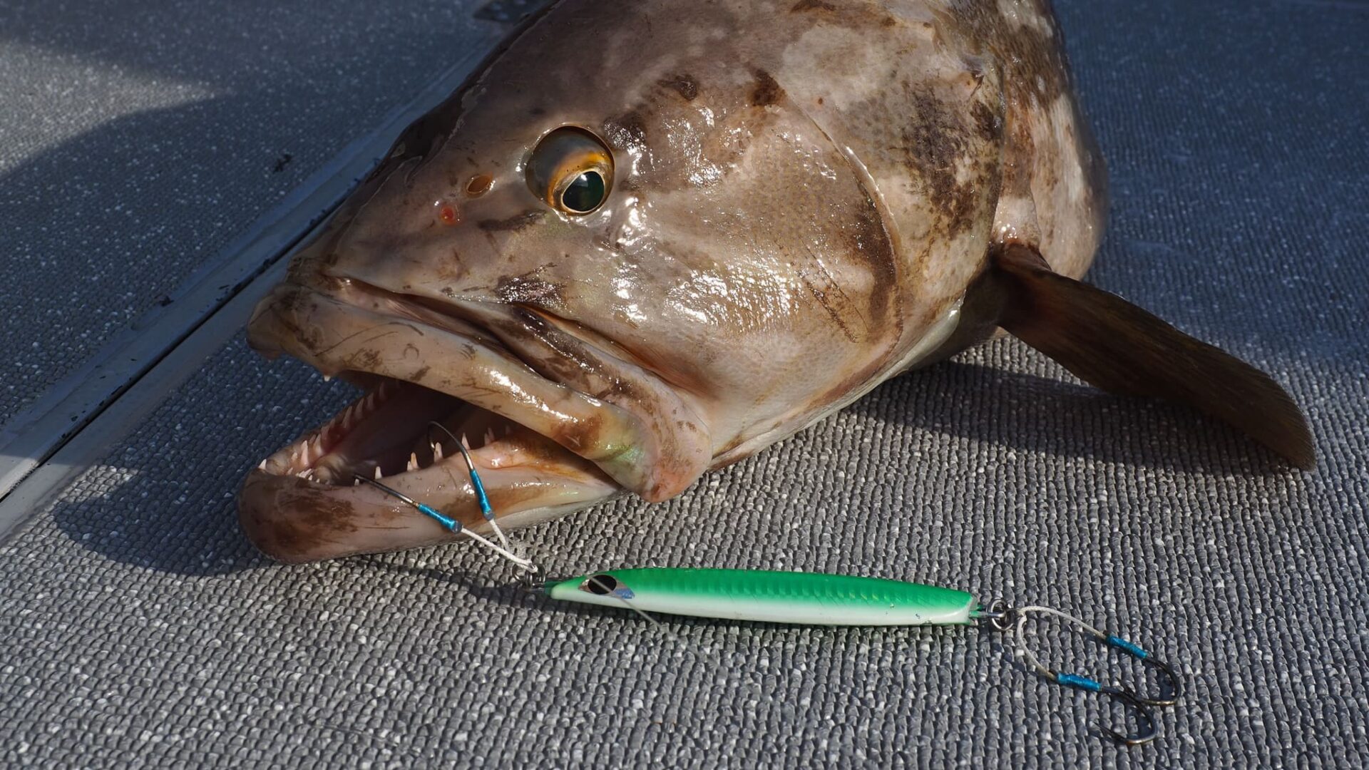 QUICK ZERO1 – CB ONE