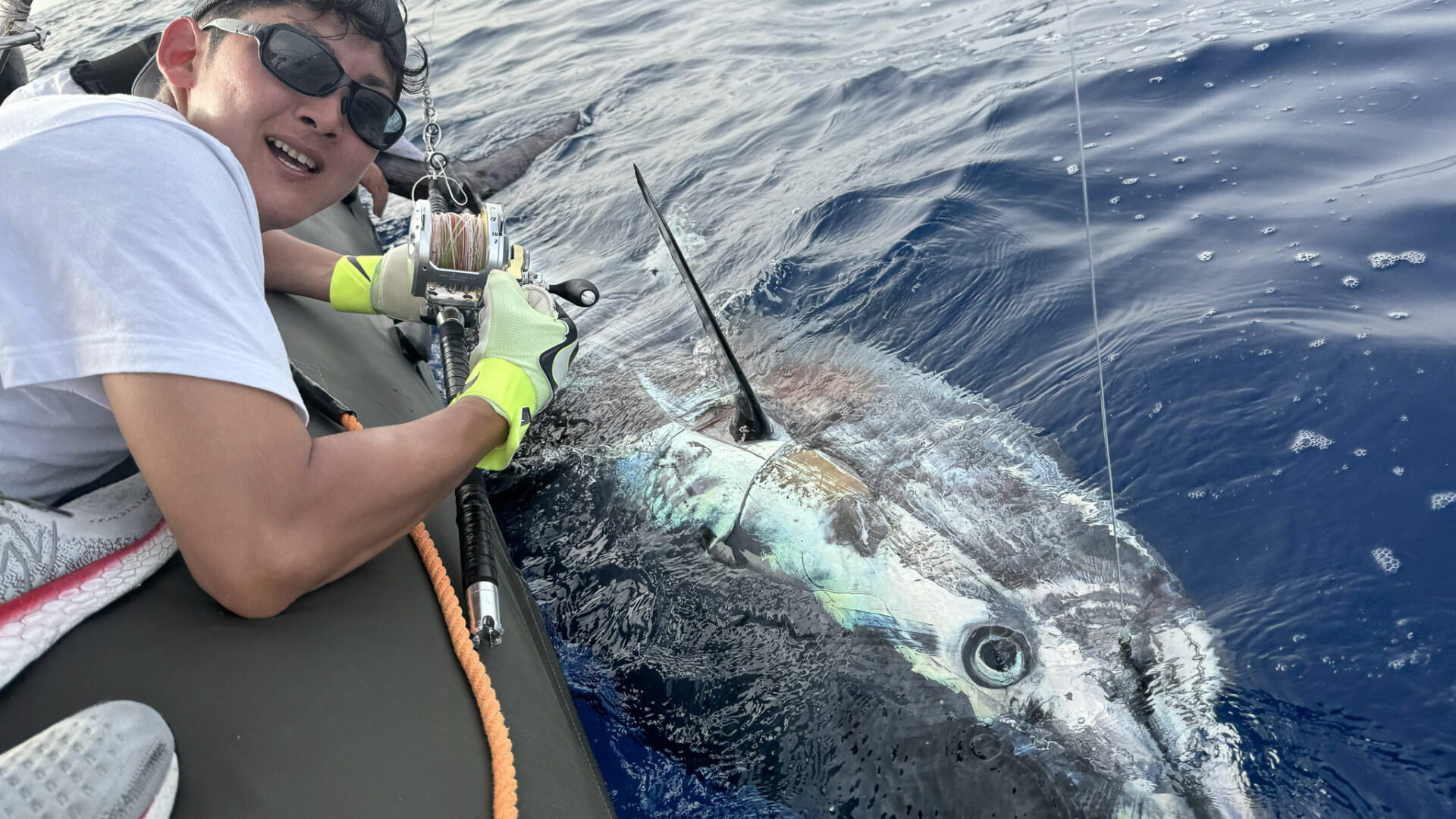 STANDUP TUNA – CB ONE